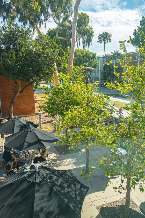 CSULB landscapes: 5 best views of The Beach | California State ...